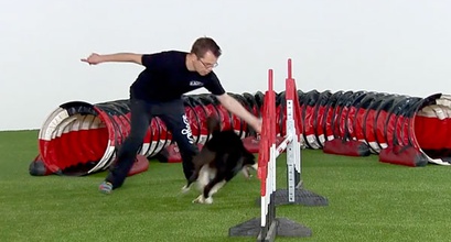 Technique Training - Lap Turn, Double Lap Turn, Backlap 2 - OneMind Dogs