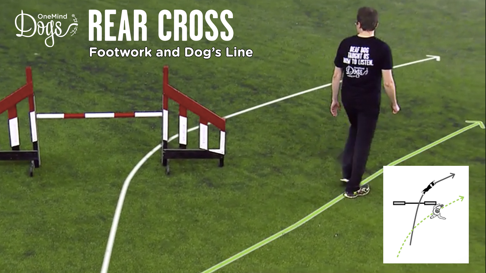 Rear Cross - Footwork And Dog's Line - OneMind Dogs