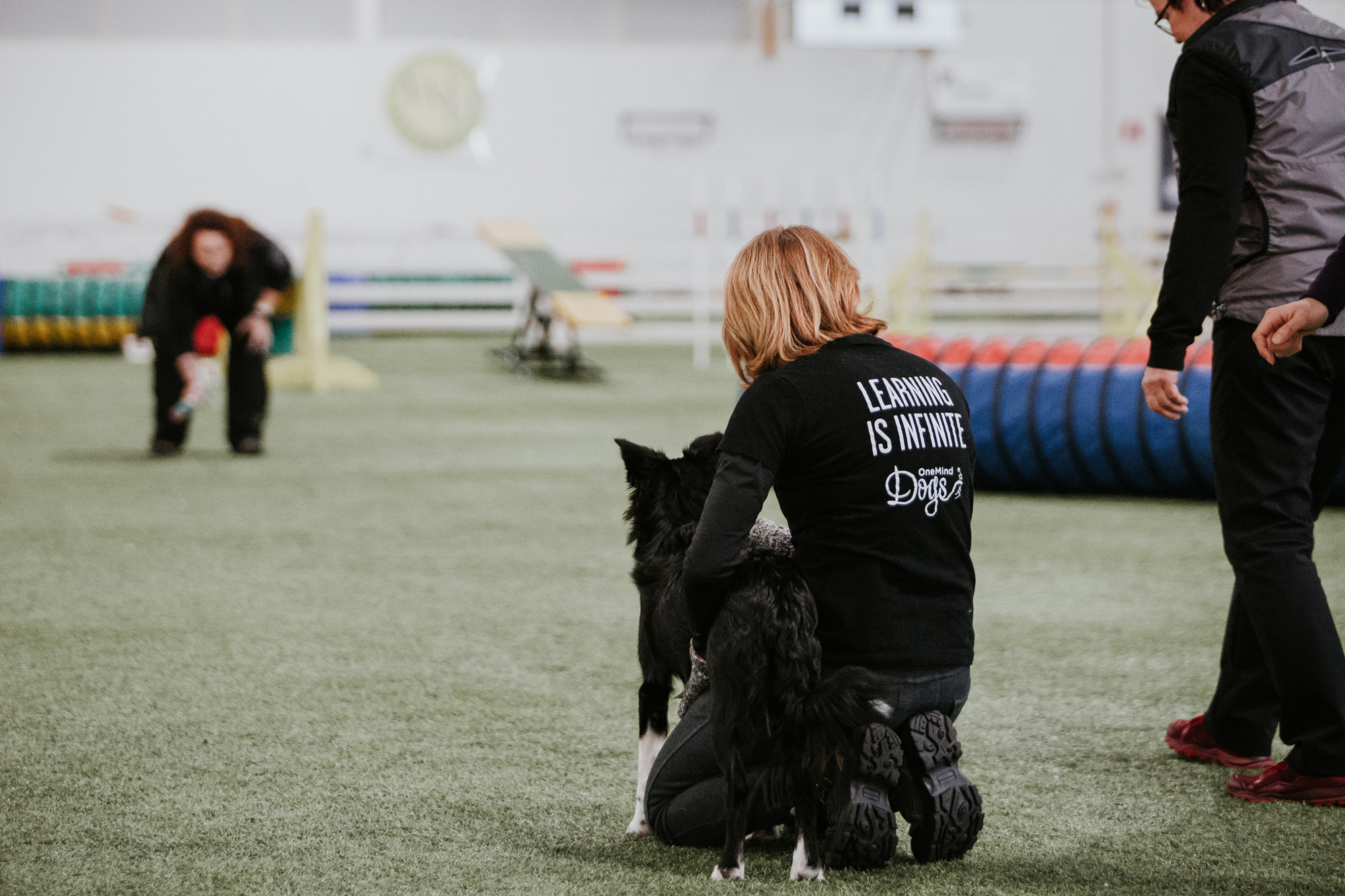 Your OneMind Dogs Seminars - OneMind Dogs