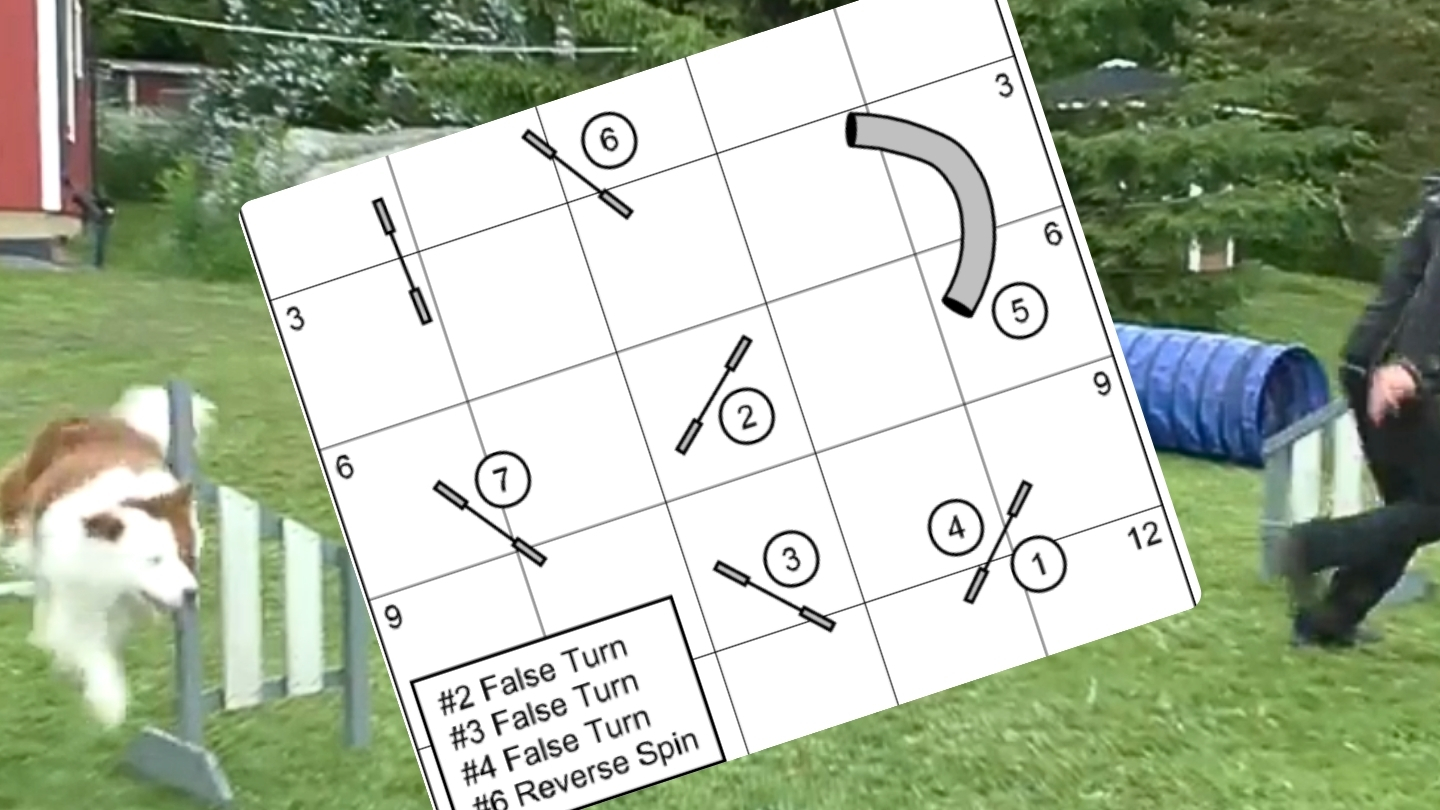 Agility Training Sequence: False Turn And Reverse Spin - OneMind Dogs