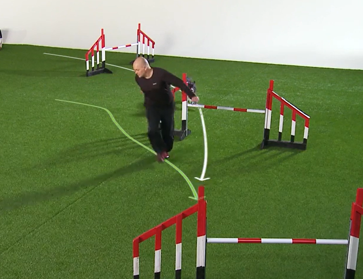 Lesson Two: Blind Cross - OneMind Dogs