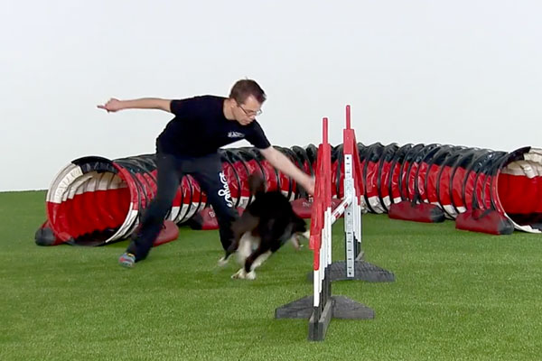 Backlap [video] - OneMind Dogs