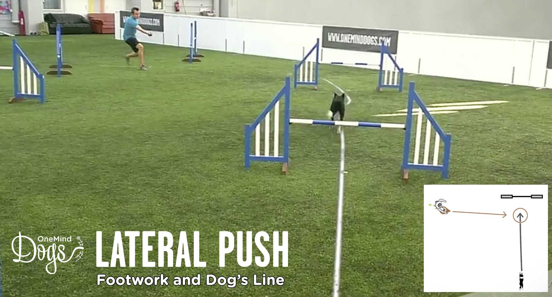 Lateral Push - Footwork And Dog's Line - OneMind Dogs
