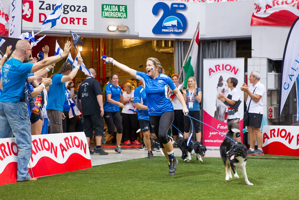 Large Dogs’ World Championship Final Wasn’t Impossible - OneMind Dogs