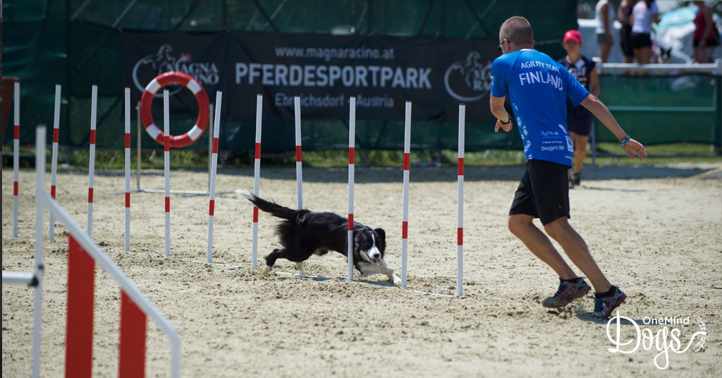 Running on the dog's line [handling technique] - OneMind Dogs