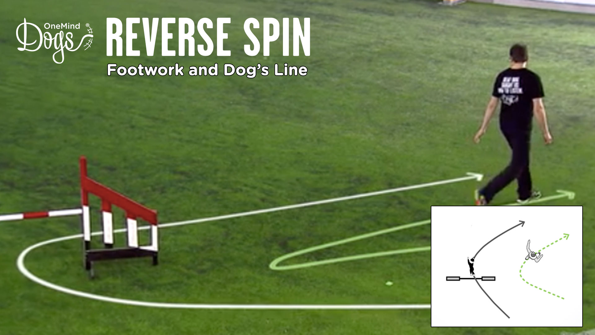 Reverse Spin - Footwork And Dog's Line - OneMind Dogs