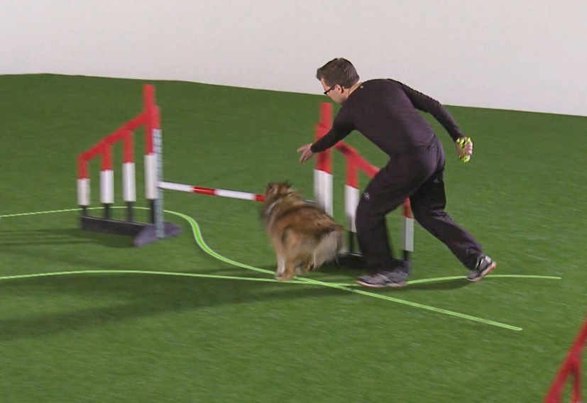 Lesson Seven: Whisky Cross - OneMind Dogs