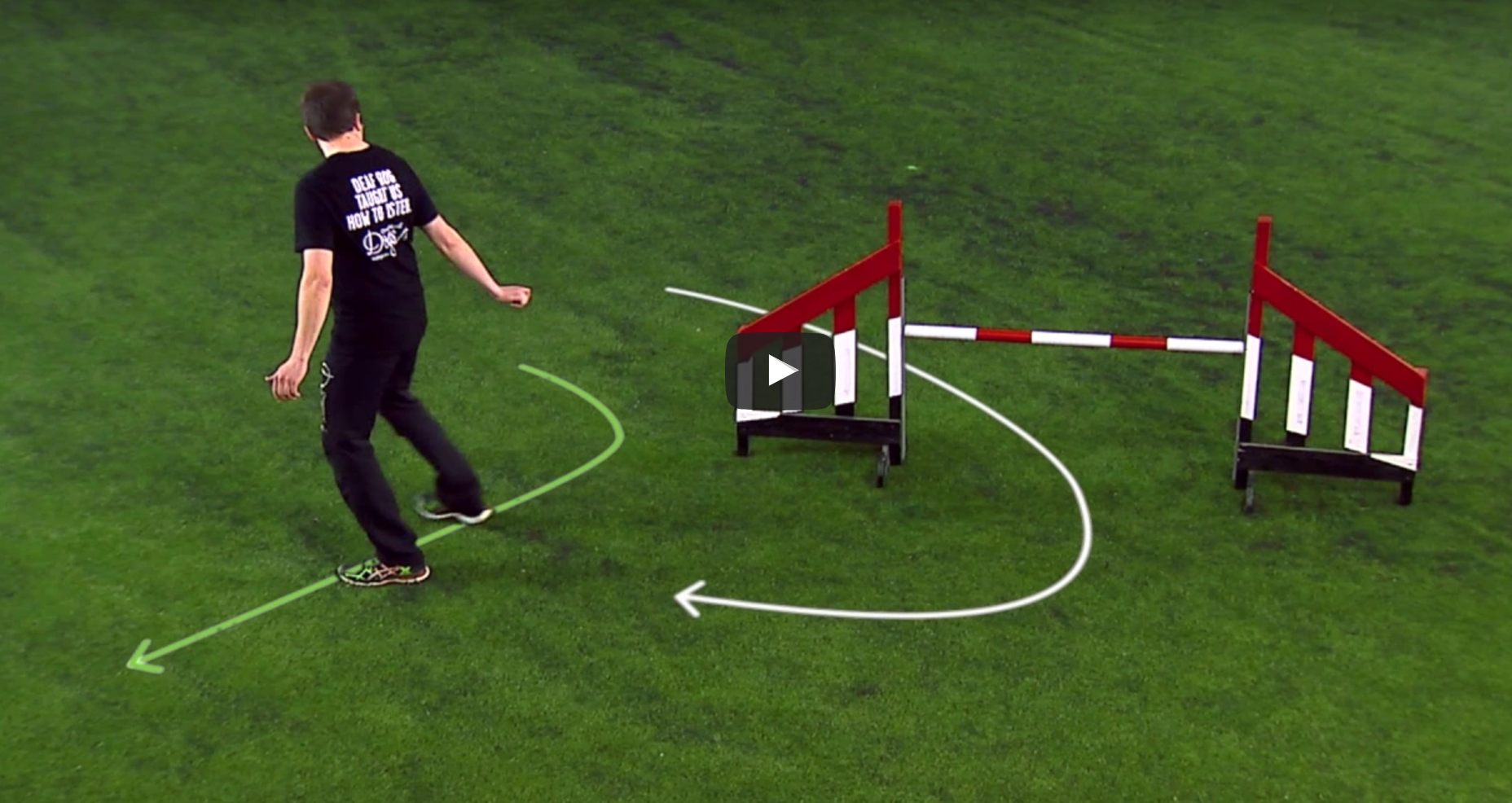 How To Move Your Feet In Dog Agility? - OneMind Dogs