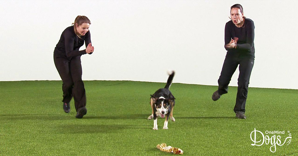 Sounds - OneMind Dogs