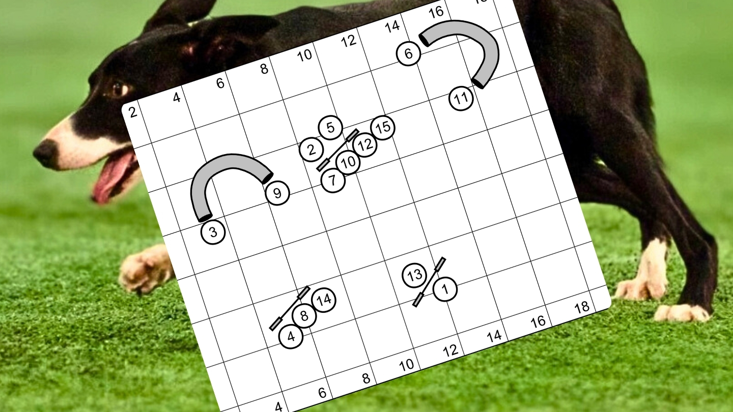 Backyard Agility Training - Trap(ob)stacles - OneMind Dogs