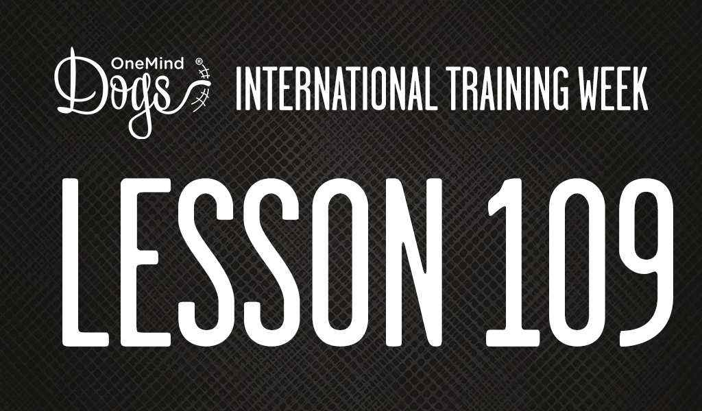 International Training Week - Practicing the Front Cross - OneMind Dogs