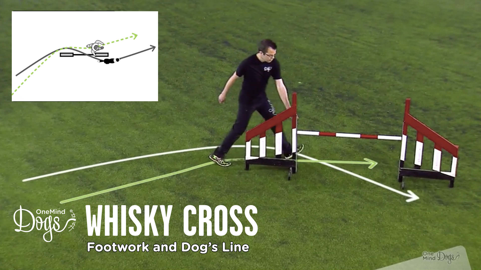 Whisky Cross - Footwork And Dog's Line - OneMind Dogs
