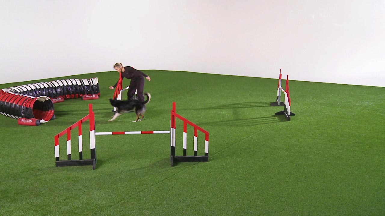 Introduction To Reverse Wrap - OneMind Dogs