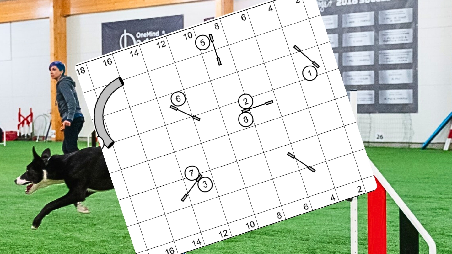 Agility Technique Application - Small Sequence - OneMind Dogs