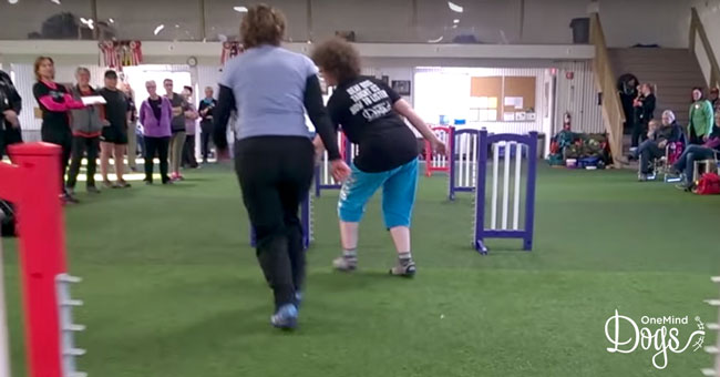Human Dog Training - See Things from a Whole New Perspective - OneMind Dogs