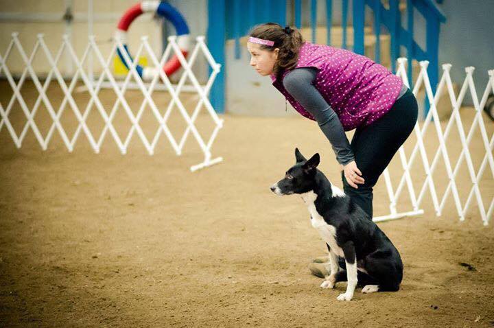 Steps To A Solid Startline - Part 1 - OneMind Dogs