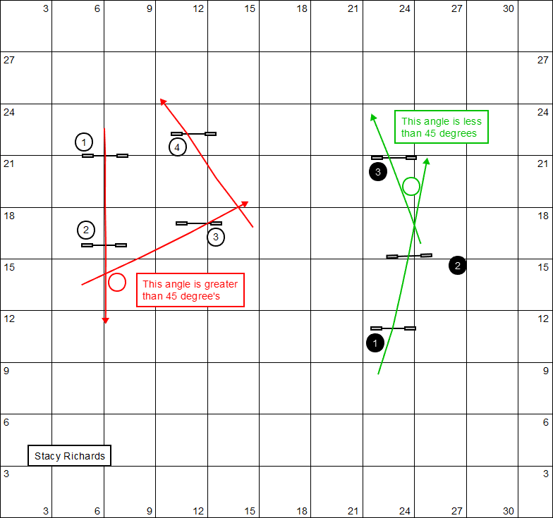 Blind cross - OneMind Dogs