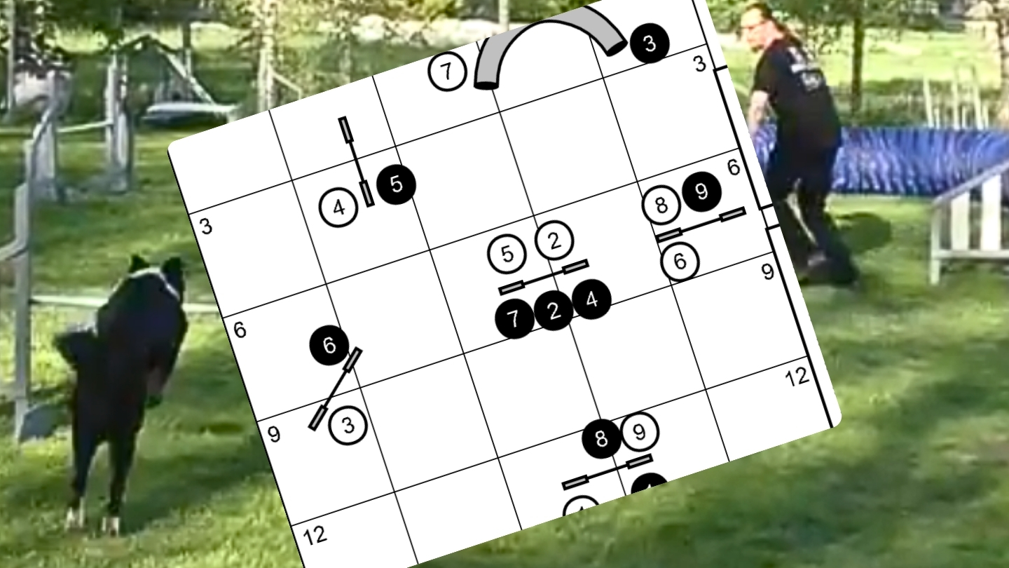 Agility Technique Training - Front Cross & Backside Send - OneMind Dogs