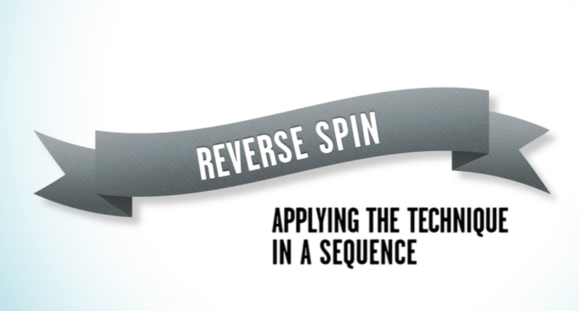 Applying Reverse Spin In A Sequence - OneMind Dogs