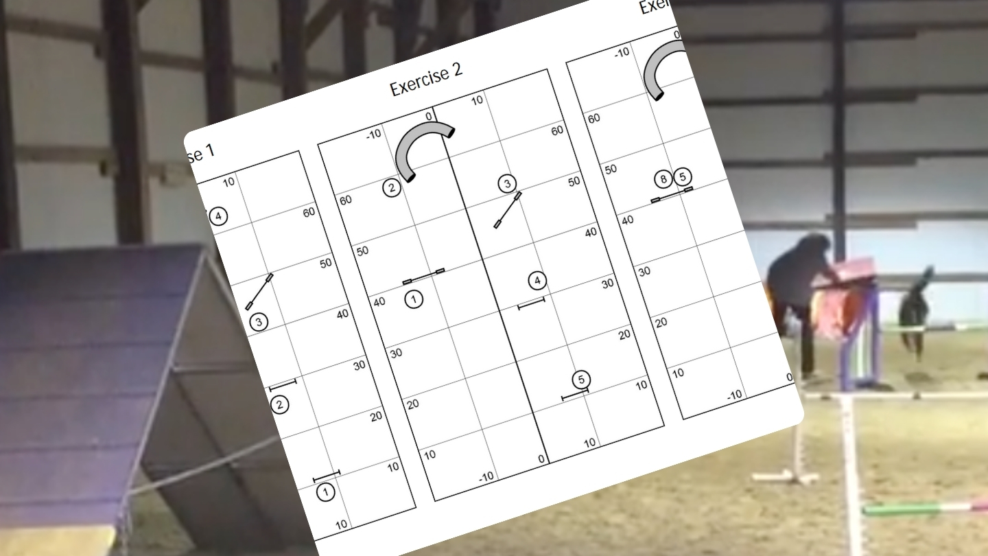 Agility Sequence - Practice Your Timing - OneMind Dogs