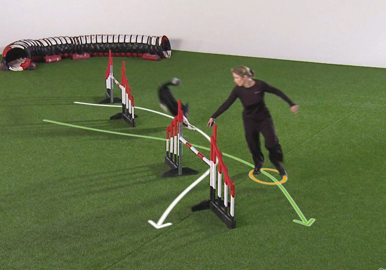 Lesson Two: Blind Cross - OneMind Dogs