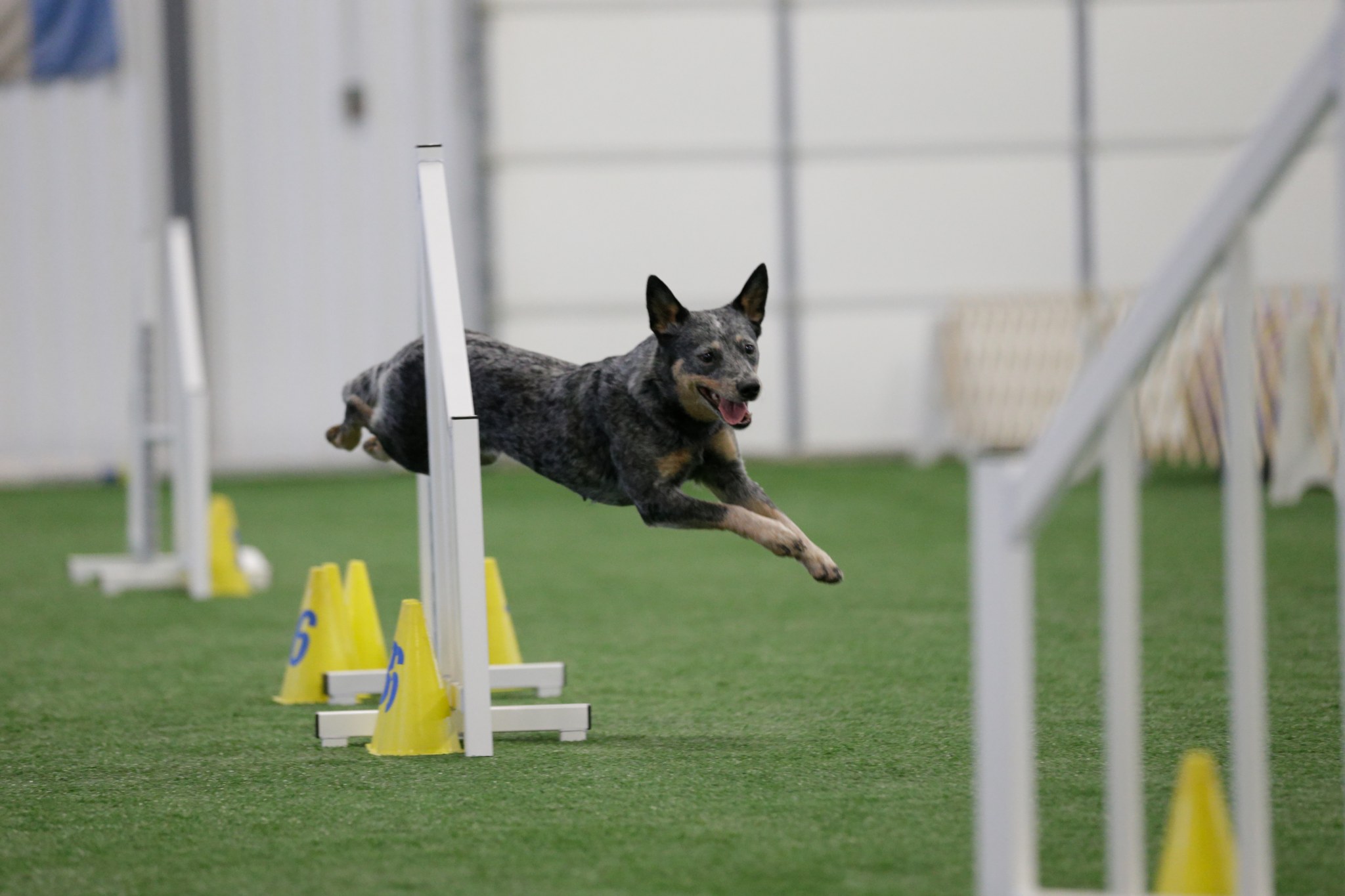 Polishing the crystal ball: extract from the diary of a rules fanatic ...